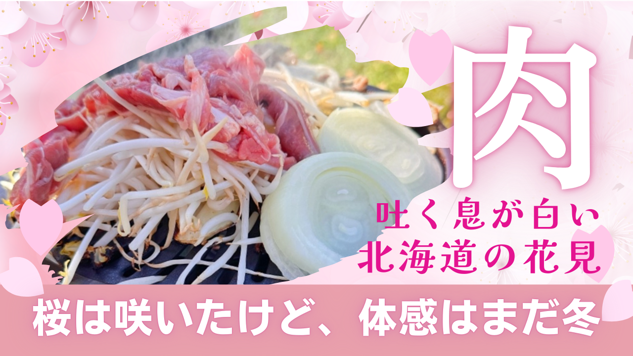 公園で花見してるけどまだ吐く息が白い〜桜は咲いたけど、体感はまだ冬〜 - KINASSE